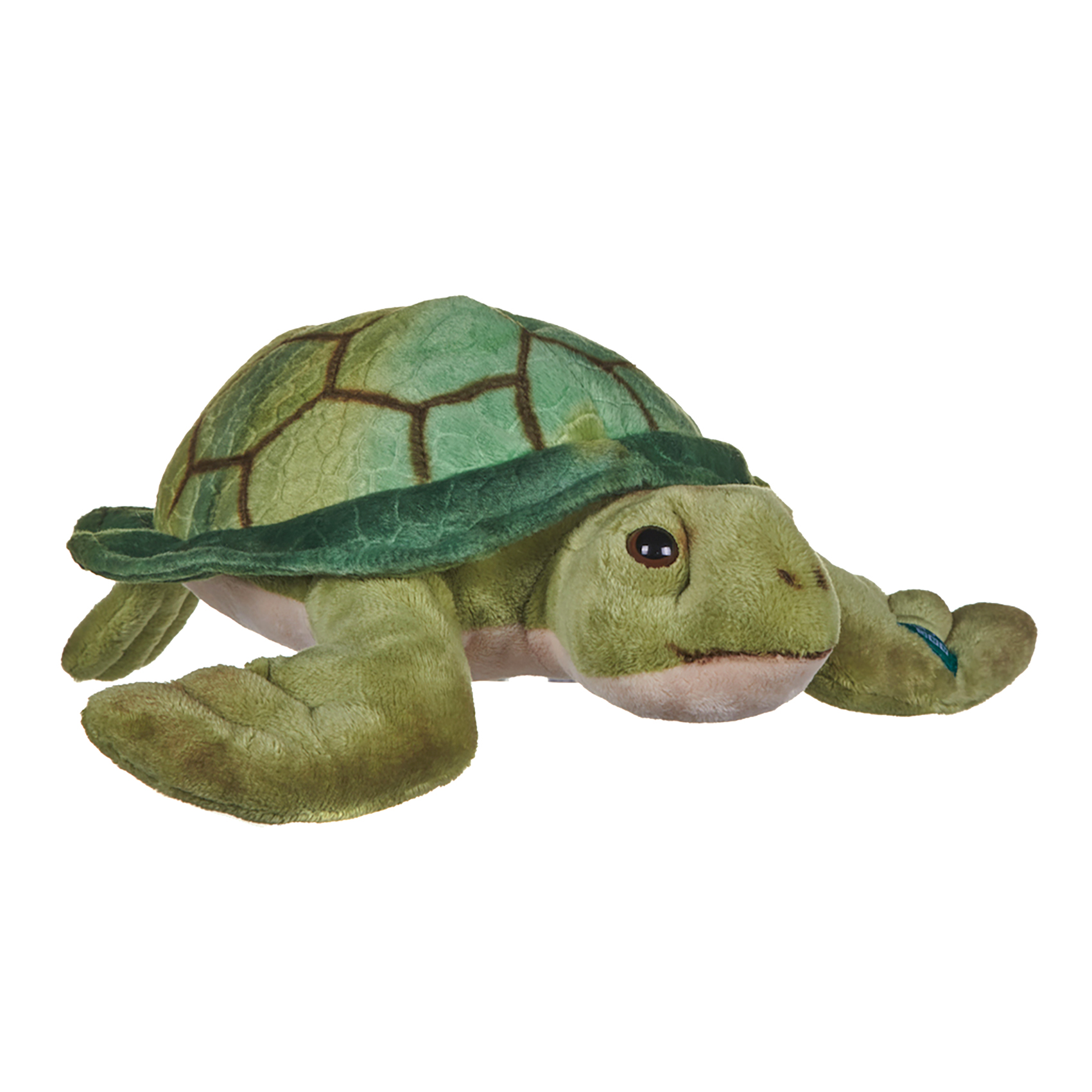 BBC Blue Planet II 25 cm Sea Turtle Soft Toy - Posh Paws - SoKids